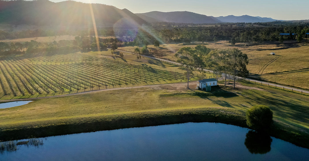 Winmark Wines – Vera Wine